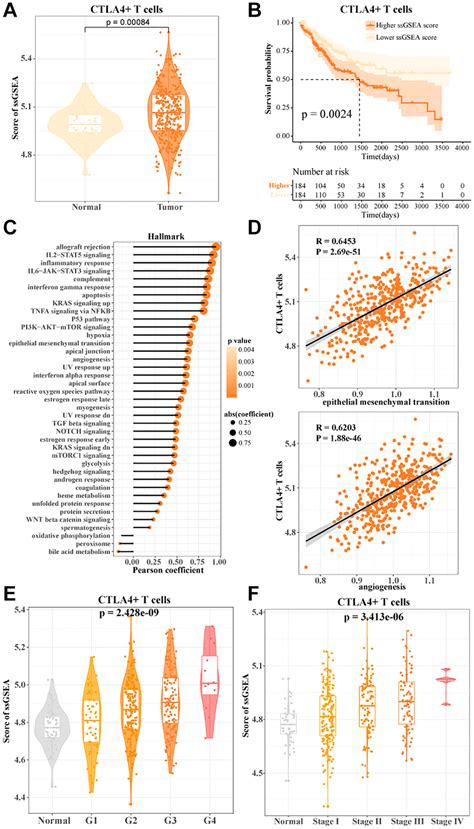 Single Cell Data Revealed Exhaustion Of Characteristic Nk Cell Subpopulations And T Cell