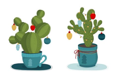 70 Christmas Cactus Cartoon Stock Illustrations Royalty Free Vector