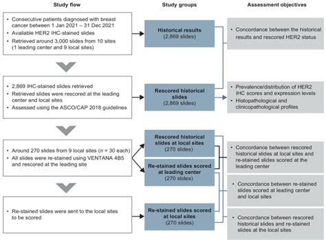Prevalence And Concordance Of Her2 Low And Her2 Ultralow Status Between Historical And Rescored