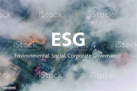 Esg 지속 가능한 환경 보존 개념 안개낀 아침에 가을 숲위로 일출 환경 사회 지배 구조에 대한 스톡 사진 및 기타 이미지