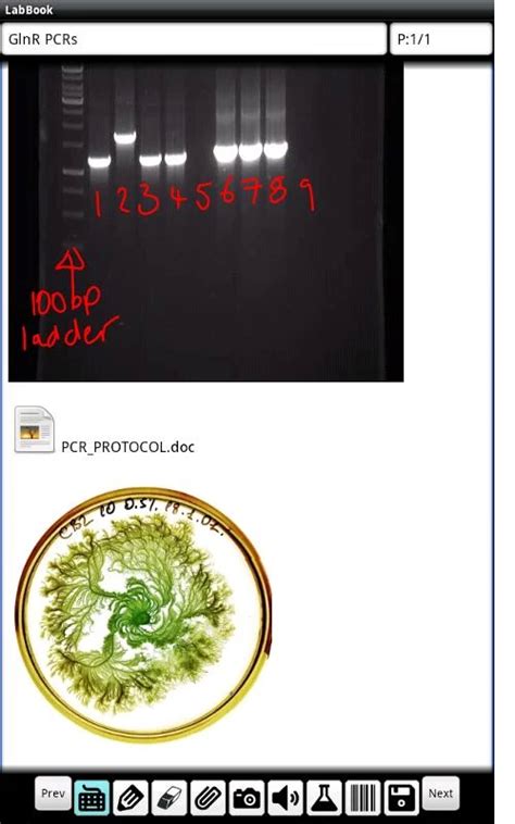 Labbook Software Sustainability Institute