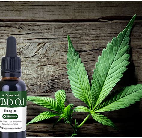 Green Leaf Cbd Oil българия аптеки отзиви форум мнения