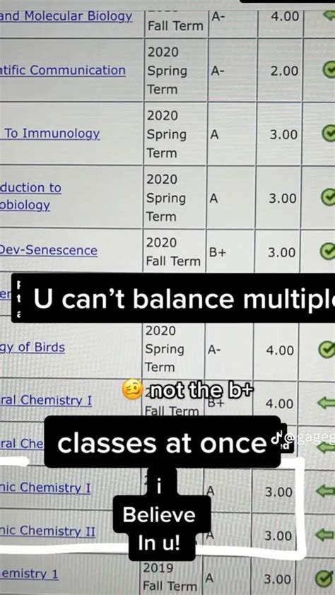 Get Vlookup Multiple Matches Multi Index Match In Excel Artofit