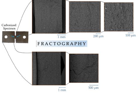 An Example Of Fractography Analysis In Cec Specimens Download Scientific Diagram