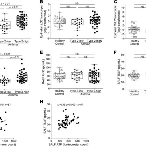 Airway Il 25 And Tslp Expression Is Elevated In Type 2 High Asthma And Download Scientific