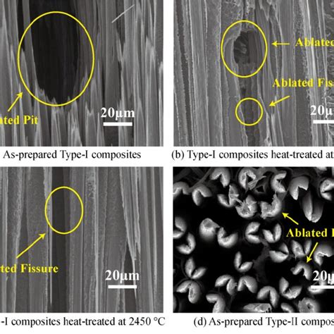 Pdf Microstructure Thermophysical Property And Ablation Behavior Of High Thermal Conductivity