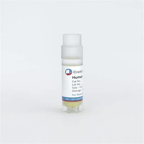 Human Thyrocyte Cells Creative Bioarray Creative Bioarray