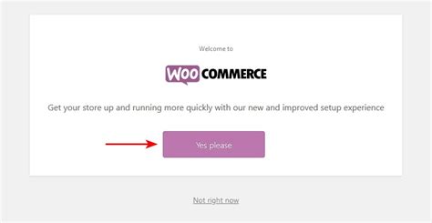 Start Online Store Using Wordpress And Woocommerce 2023