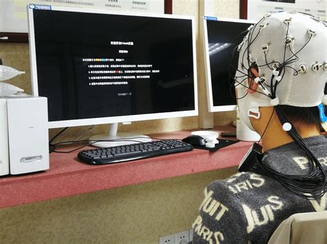 The Participant And The Experimental Interface Download Scientific