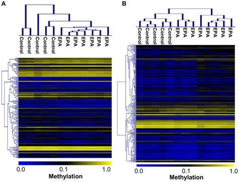 Unsupervised Hierarchical Clustering Methylation Percentages β