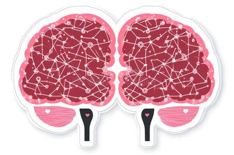 Artistic Illustration of Two Interconnected Pink Brains Neural Network Patterns Symbolizing ...