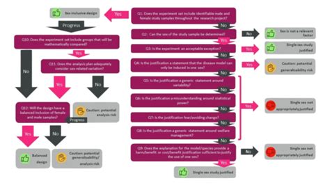 New Framework Aims To Eliminate Sex Bias In Preclinical Research