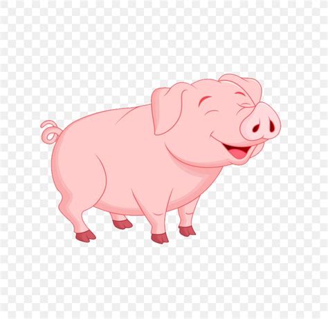 Pig Vector Graphics Image Cartoon PNG 800x800px Pig Cartoon