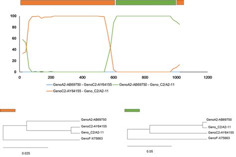 Recombination Detection Program RDP Analysis And Phylogenetic Download Scientific Diagram