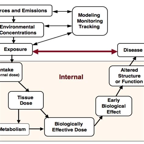 Conceptual Framework Indicating The Links Among Exposure Information Download Scientific