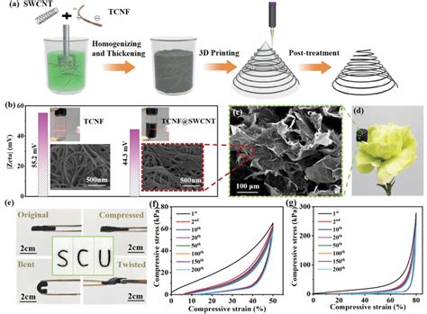 A An Overall Schematic Diagram Illustrating The Ink Formulation And 3d Download Scientific
