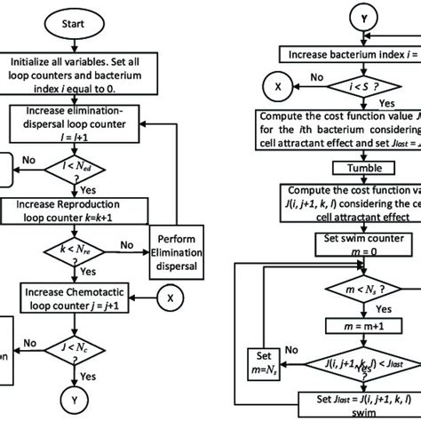 the flowchart of the bfo algorithm download scientific diagram