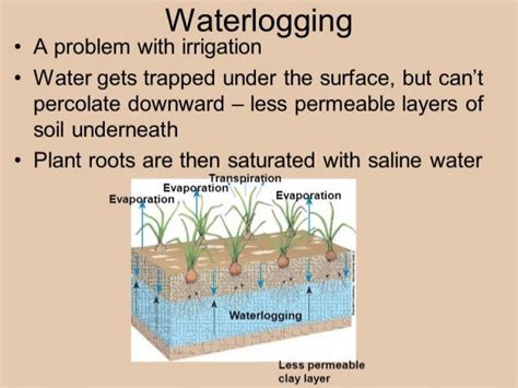 Water Logging Problems Due To The Construction Of Dams Andcanyon And
