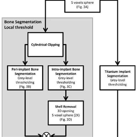 Phase Segmentation Workflow Diagram Download Scientific Diagram