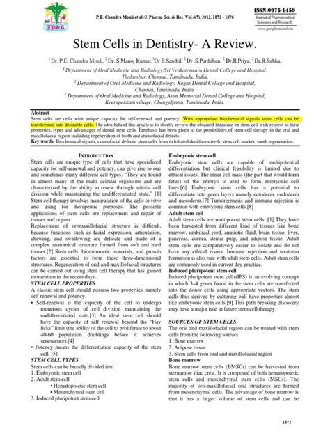 Review Scs In Dentistry Pdf Stem Cell Cell Potency