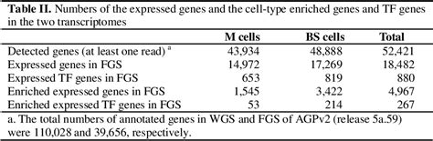 Table Ii From Running Transcriptomes Of Maize Leaf Cells Semantic Scholar