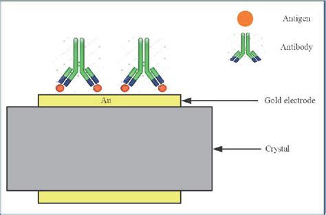 Figure 1 From Distinguishing Mass Loading Effect From Damping Loading