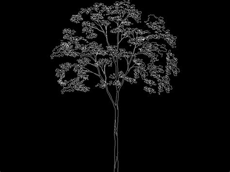 Tree In Elevation 066 In Autocad Cad Download 307 04 Kb Bibliocad