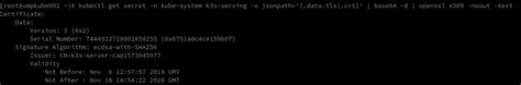 kubernetes k3s 集群上的过期证书 kubernetes k8soq k8s kubernetes