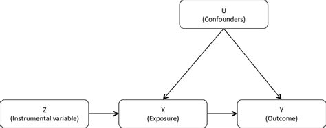 The Basic Instrumental Variable Iv Model Depicted Using A Directed