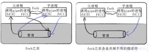 进程间通信mkfifo Fflush Csdn博客