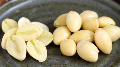 What Foods Contain Ginkgo At Joshua Hausman Blog