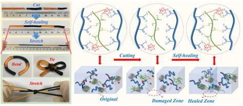Singlemulti Network Conductive Hydrogels—a Review