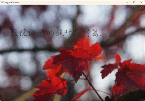 图像添加水印，图像噪点消除 图像处理（opencv） Part5 Csdn博客