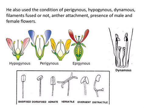 Artificial System Of Classification Pptx