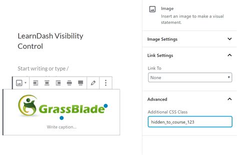 LearnDash Visibility Control