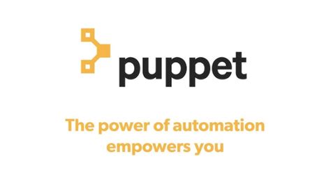 Puppet Labs Unlocking Efficiency And Scalability