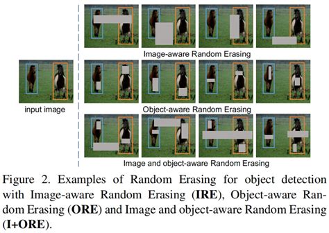 random erasing 原理与代码解析 randomerasing csdn博客