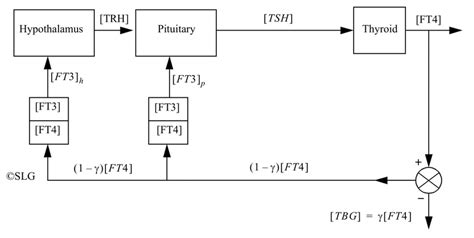 Large Signal Schematic Of The Hpt Closed Loop With An External [ft4