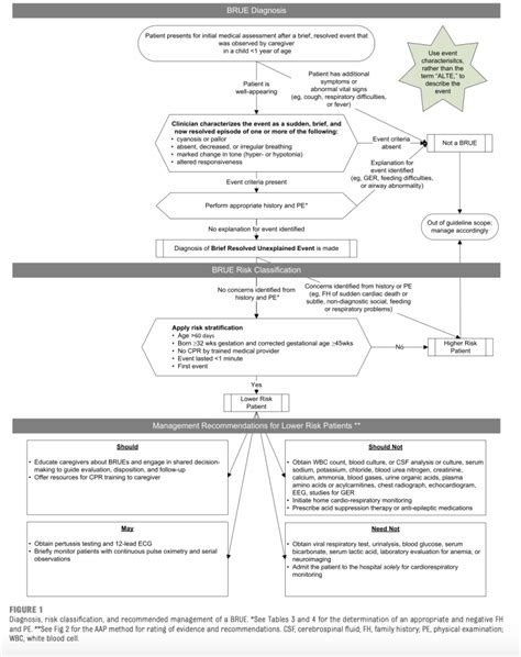 Brue Uabcoa Pediatric Emergency Medicine