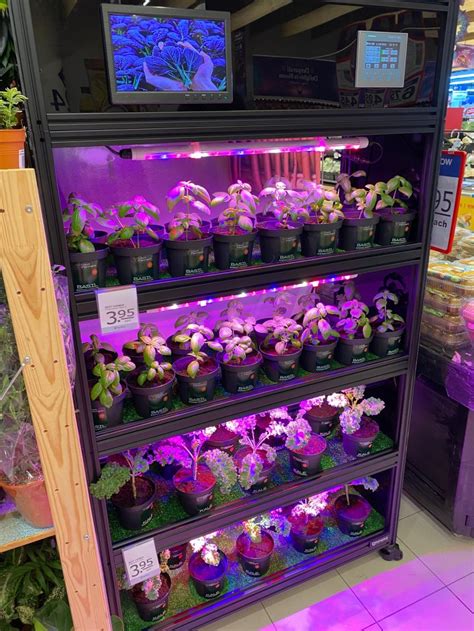 Pamela Pacheco On Linkedin S71200 Verticalfarming Sustainable Siemens