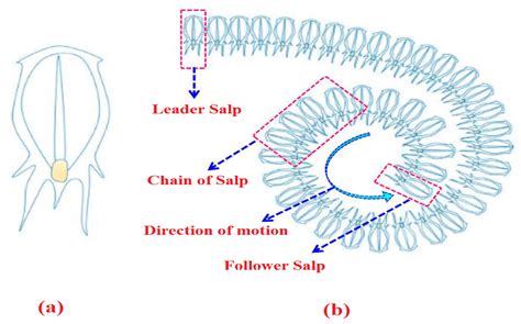 maximum power point tracking for photovoltaic systems operating under