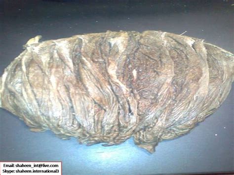 Omasum Id 8340817 Product Details View Omasum From Shaheen