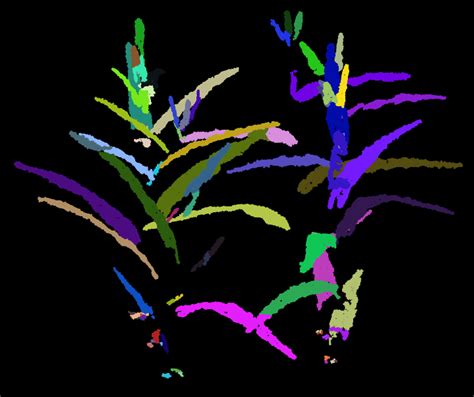 Steps For The Point Cloud Preprocessing Several Images Similar To A