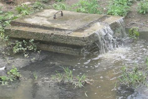 Aguas Negras