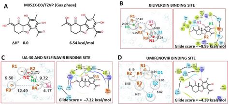 Results Of Quantum Chemical Calculations And Molecular Docking Download Scientific Diagram