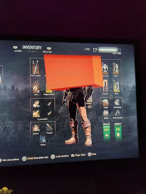 I Found Some Nilfgaardian Armor Next To The Mother Who You Can Help At The Nilfgaardian Base