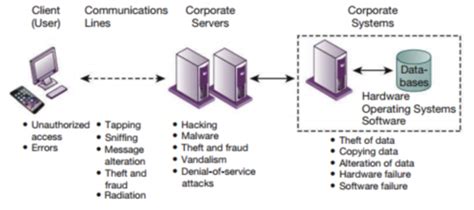 Chapter 9 Securing Information Systems Flashcards Quizlet