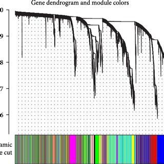 Development Of The Creation Of WGCNA Modules A Cluster Dendrogram Of Download Scientific