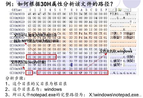 【数据备份与灾难恢复】期末复习常见数据库的备份操作 期末考试 Csdn博客