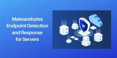 Malwarebytes Endpoint Detection And Response For Servers Ciberseguridad